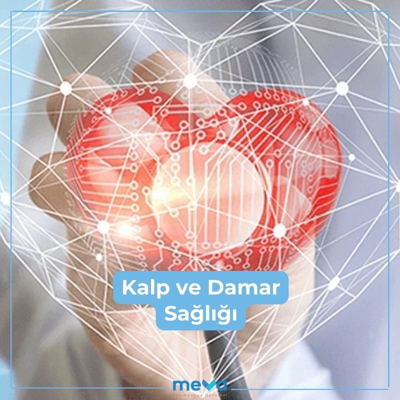 Menopoz Sonrası Kalp ve Damar Sağlığı